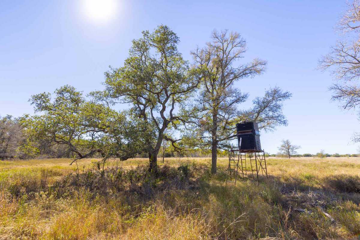 Gonzales County, Harwood, TX West and Swope Ranches