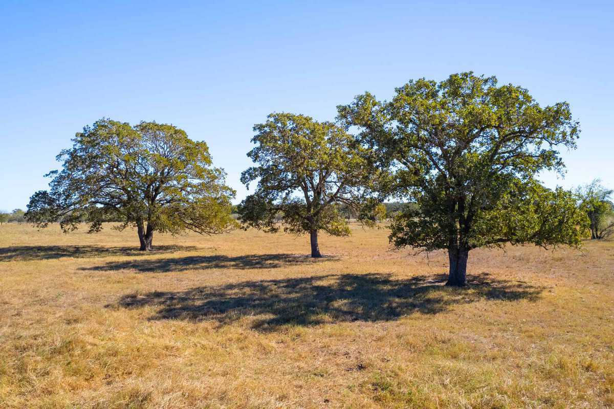 Gonzales County, Harwood, TX West and Swope Ranches