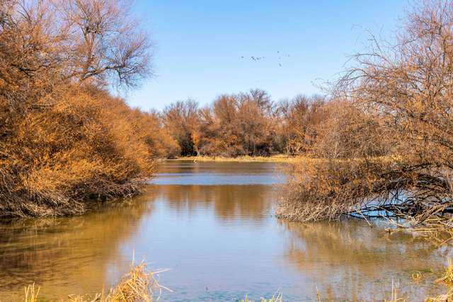 Val Verde County, Del Rio, TX West and Swope Ranches