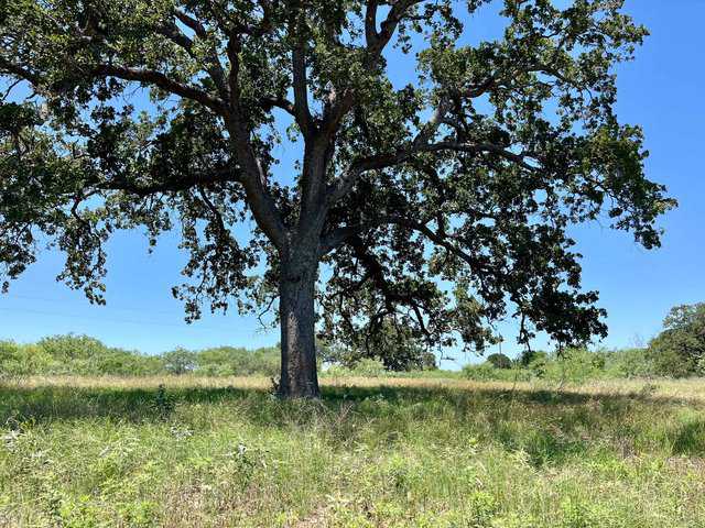 Gonzales County, Harwood, TX West and Swope Ranches