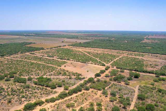 Serrano Ranch | 384 Acres of Unrestricted Ranch Land in Frio County, Texas