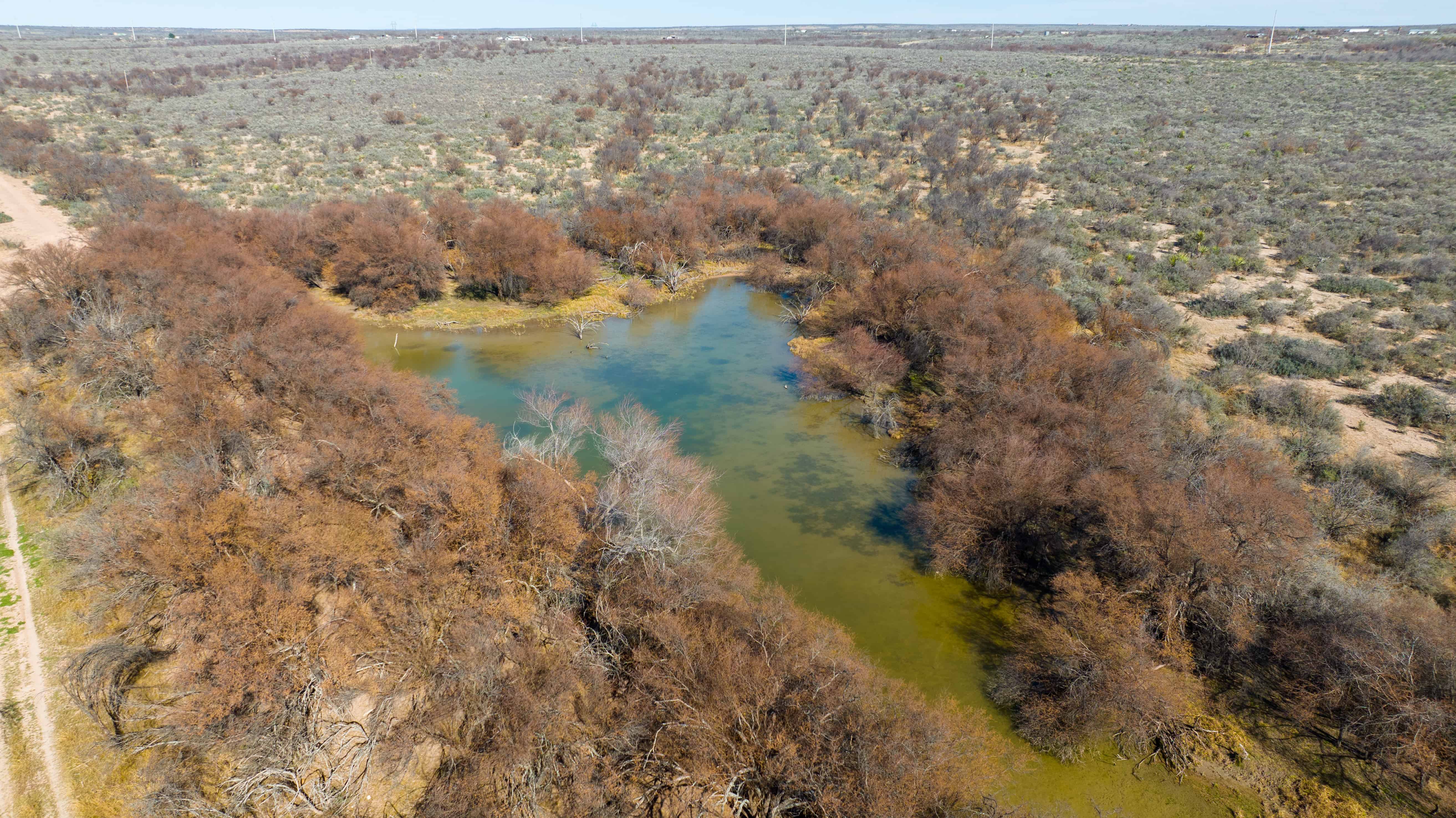 San Felipe Creek Ranches: Hunting and Recreational Land for Sale in Del ...