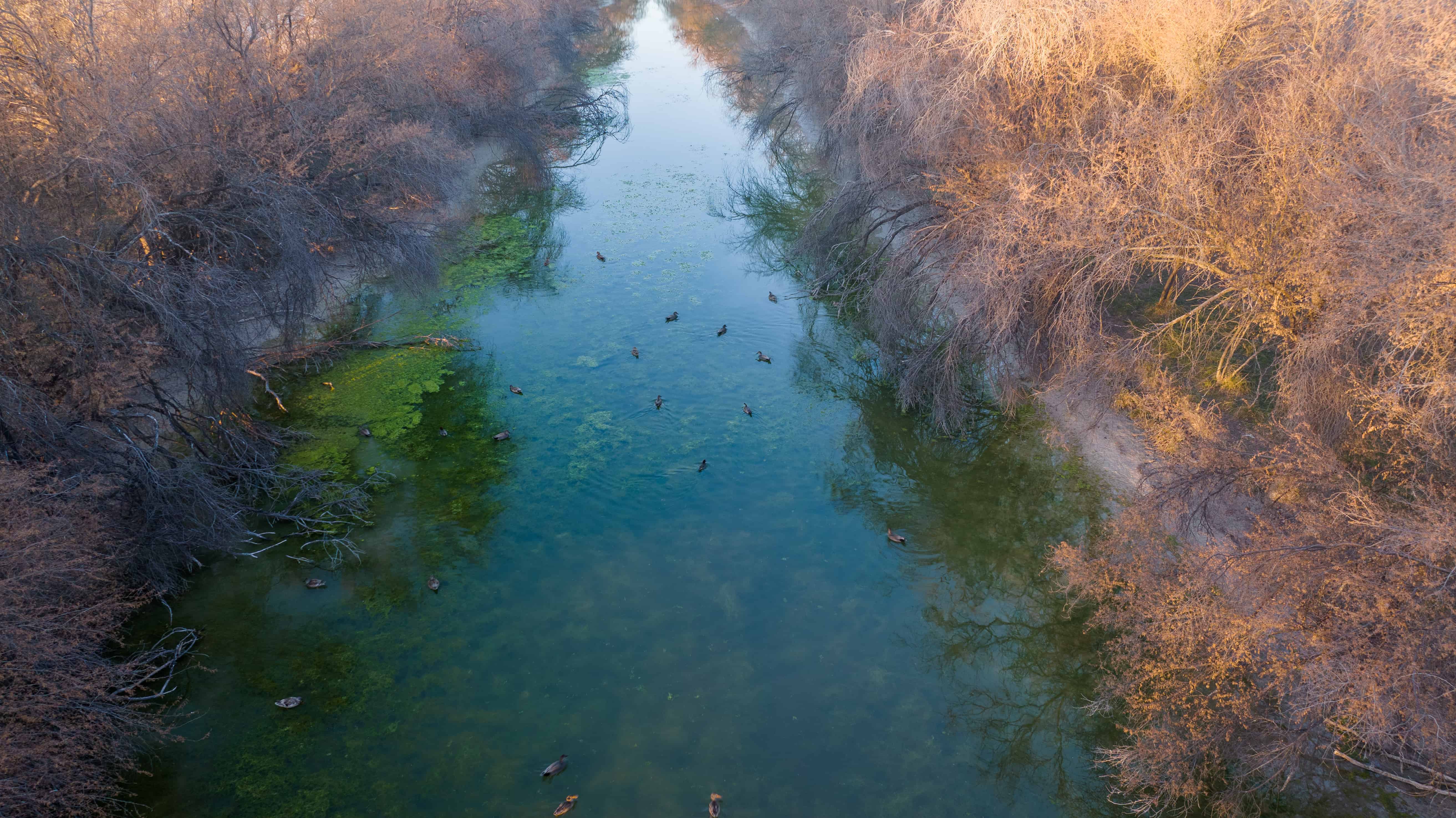 San Felipe Creek Ranches: Hunting and Recreational Land for Sale in Del ...
