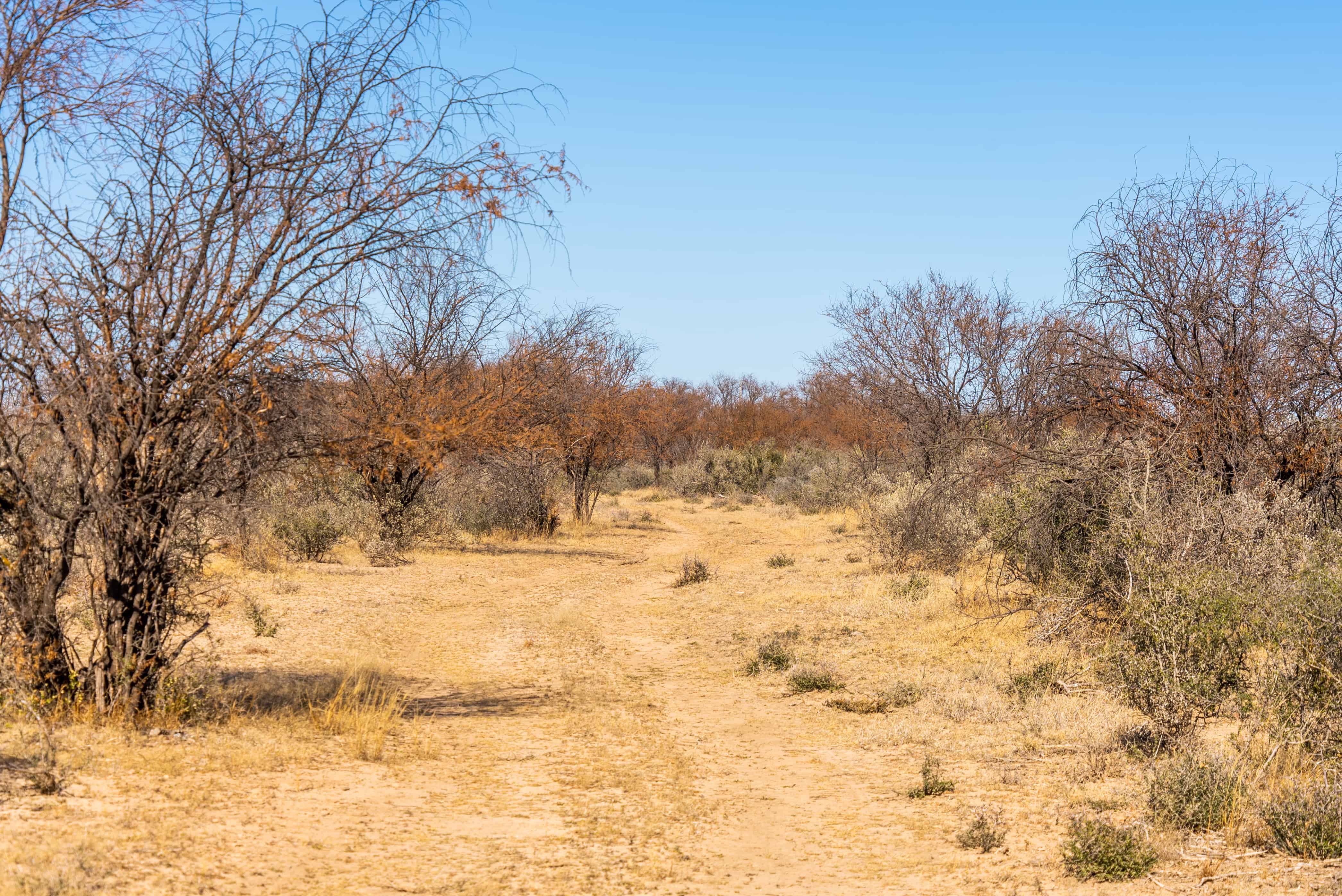 San Felipe Creek Ranches: Hunting and Recreational Land for Sale in Del ...