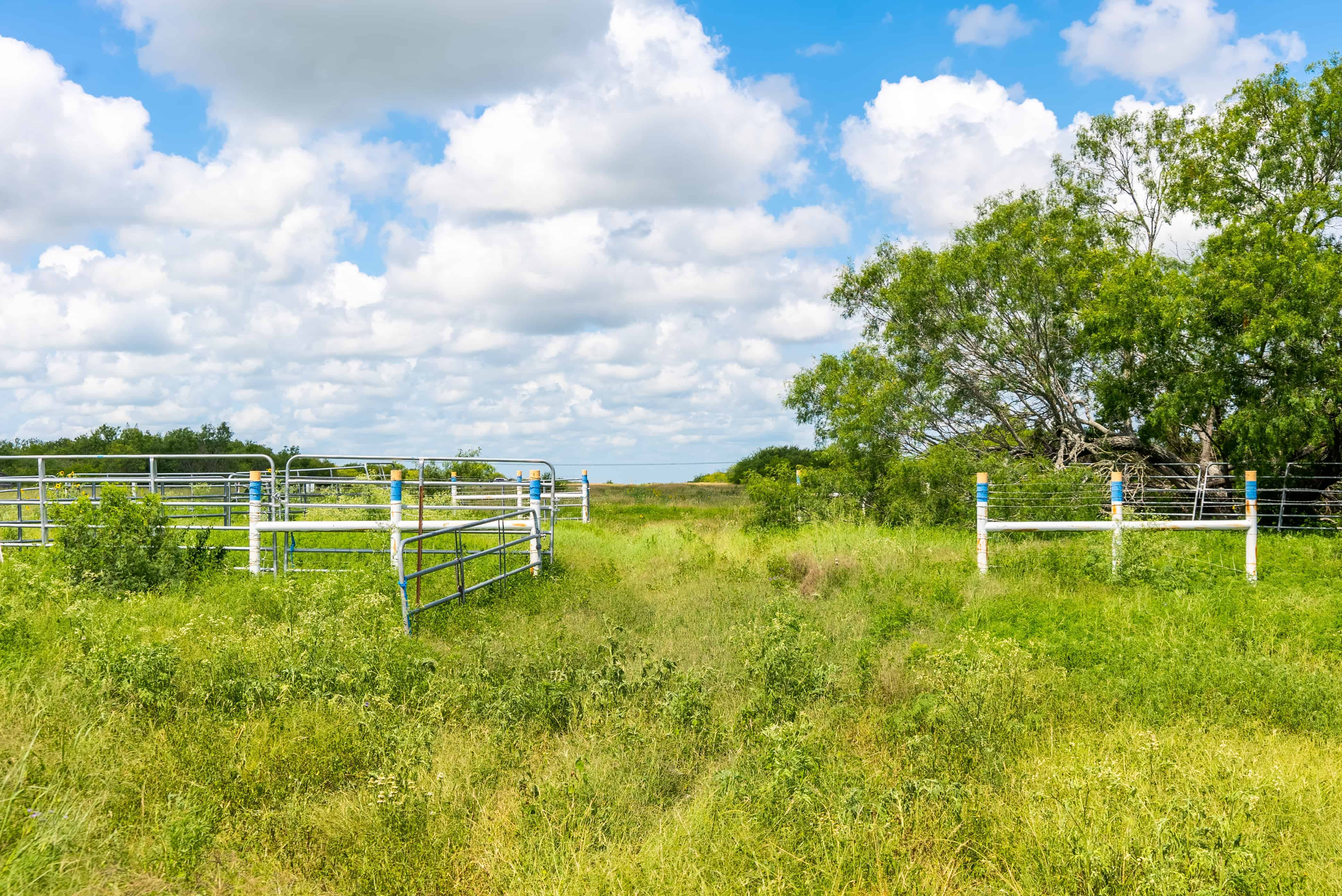 Karnes County, Kenedy, TX West and Swope Ranches