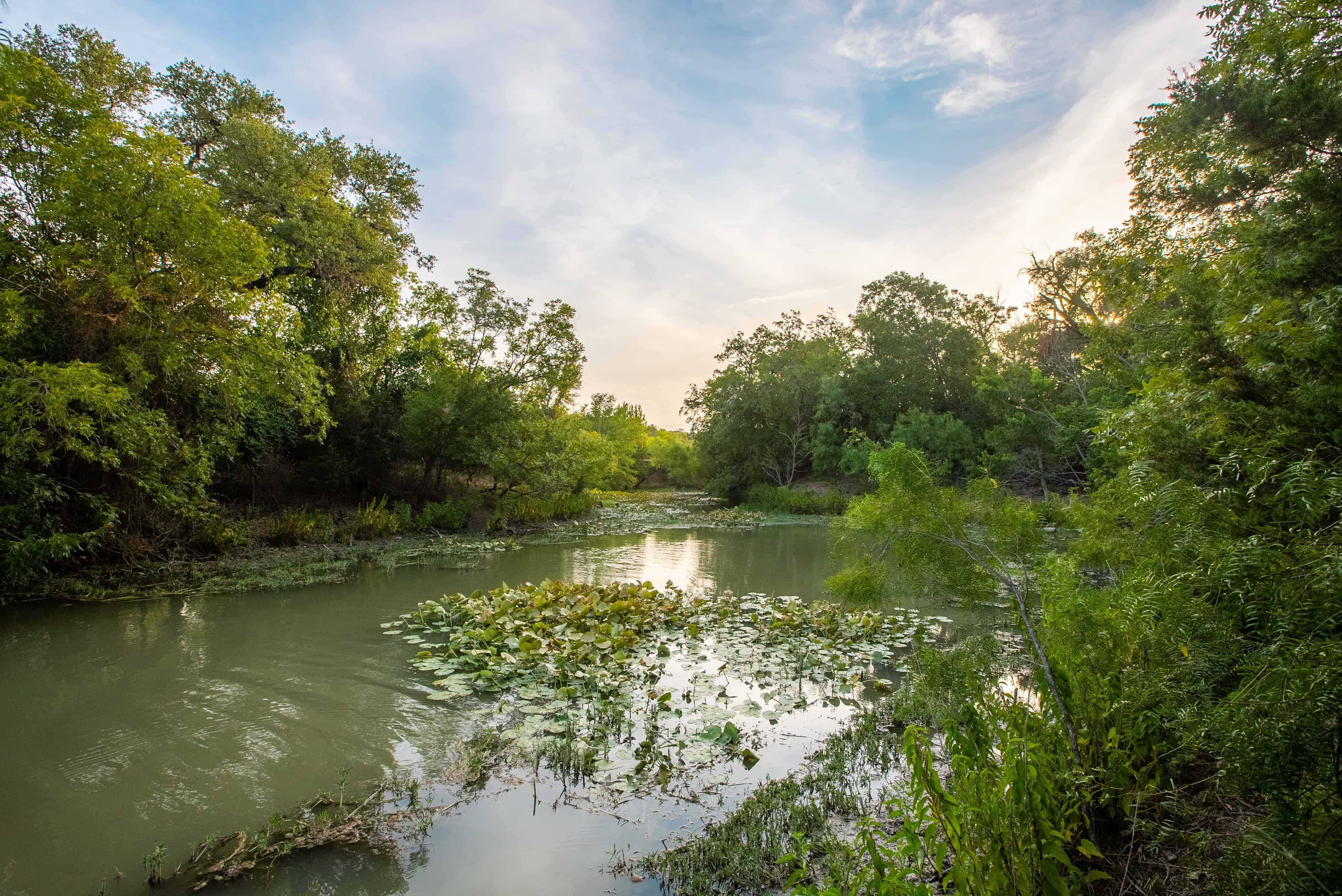 Nimitz Lake Ranchette: Waterfront Property for Sale in Kerrville, TX